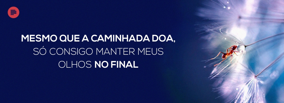 A formiga aprendiz | Pelo Amor de Deus