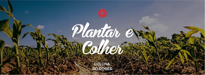 Plantar e colher | Pelo Amor de Deus